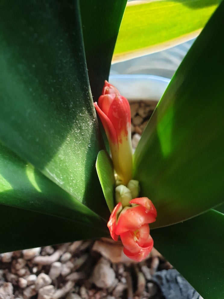 별 일이야 박노해 : 네이버 블로그