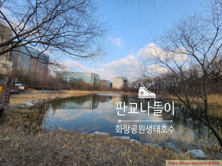판교 화랑공원 봄나들이 봄이 오는 길목에서 봄꽃을 맞이하러 가 봅니다 아직은 이른 봄 네이버 블로그