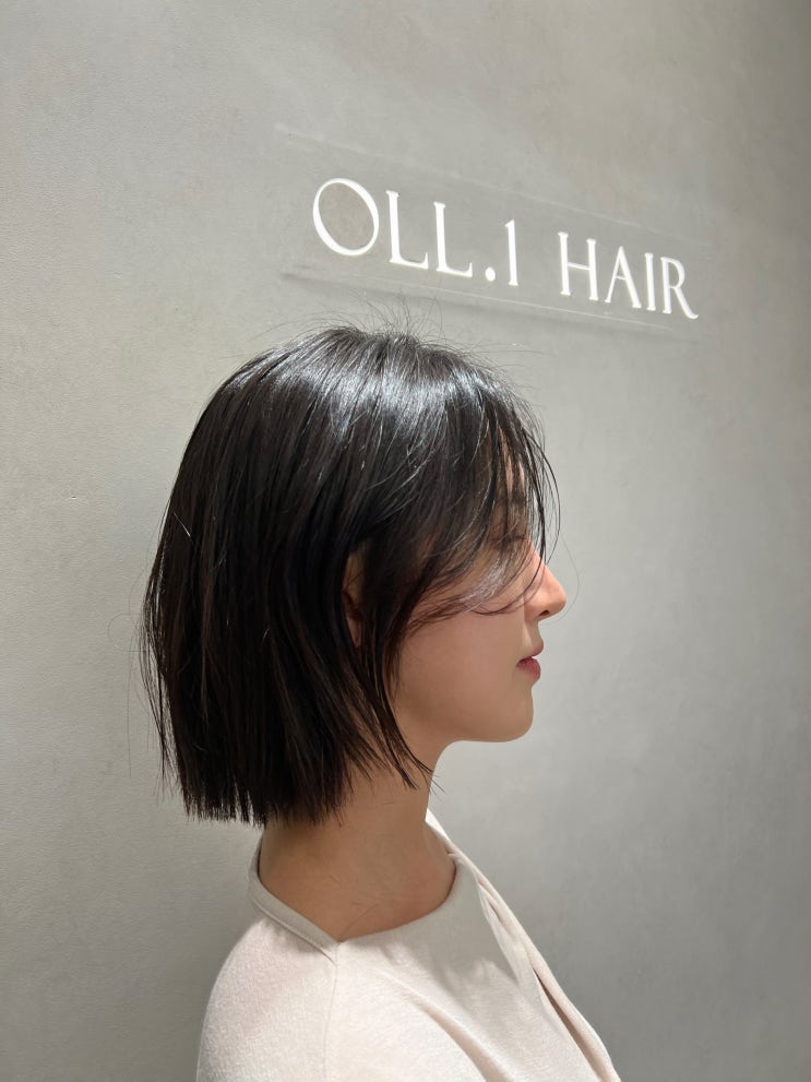 일산 킨텍스 미용실 올하나헤어 단발 테슬컷 테슬펌 잘하는 곳 네이버 블로그