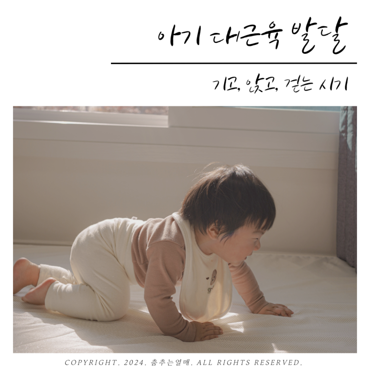 아기혼자 걷는 시기 기어다니는 시기 앉는 시기 언제 대근육 발달 네이버 블로그