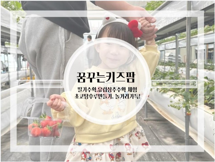 평택 딸기체험 꿈꾸는 키즈팜 농장체험 실내놀이 물놀이 모래놀이 딸기케익만들기 초코탕후루만들기 네이버 블로그