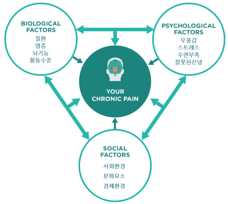 만성통증과 BPS model : 네이버 블로그