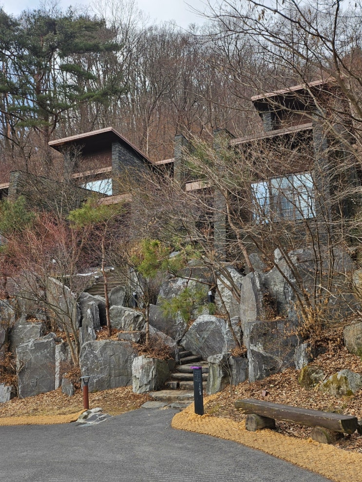 충북 제천 포레스트 리솜 리조트 스파 패키지 포레스트 빌라 S3028평 전동카트 이용안내 네이버 블로그