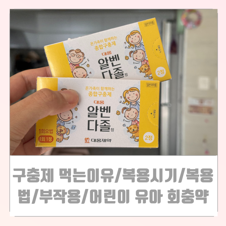 구충제 먹는 이유 복용 시기 복용법 부작용 어린이 유아 회충약 네이버 블로그