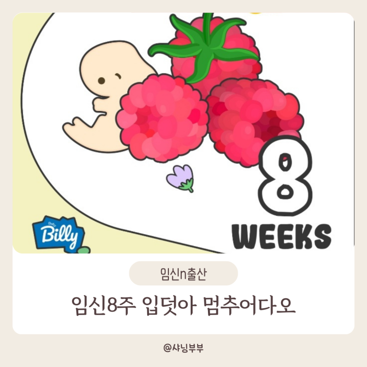 임신8주차증상 입덧 심할때 초기 산부인과검진 임신중독증 과거력 베이비아스피린 처방 네이버 블로그