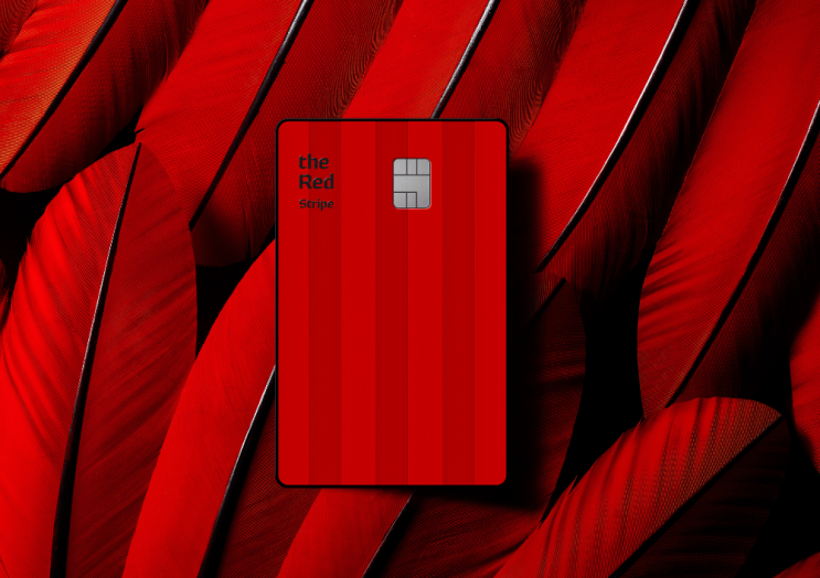 현대카드 The Red Stripe 프리미엄카드 신용카드 추천 고성능럭셔리 카드 +레드카드 시리즈 비교 : 네이버 블로그