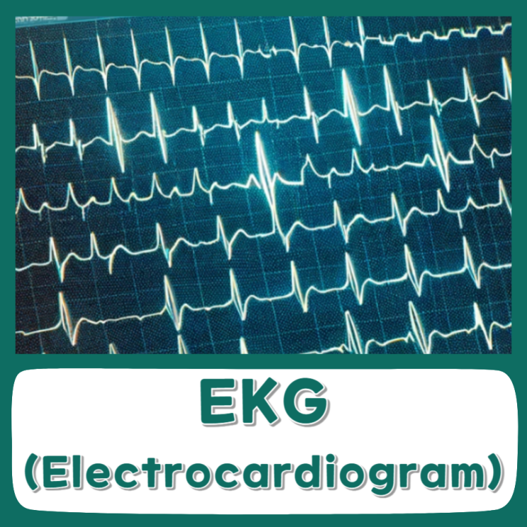 EKG 리듬 해석 의학 용어 정상 범위 : 네이버 블로그