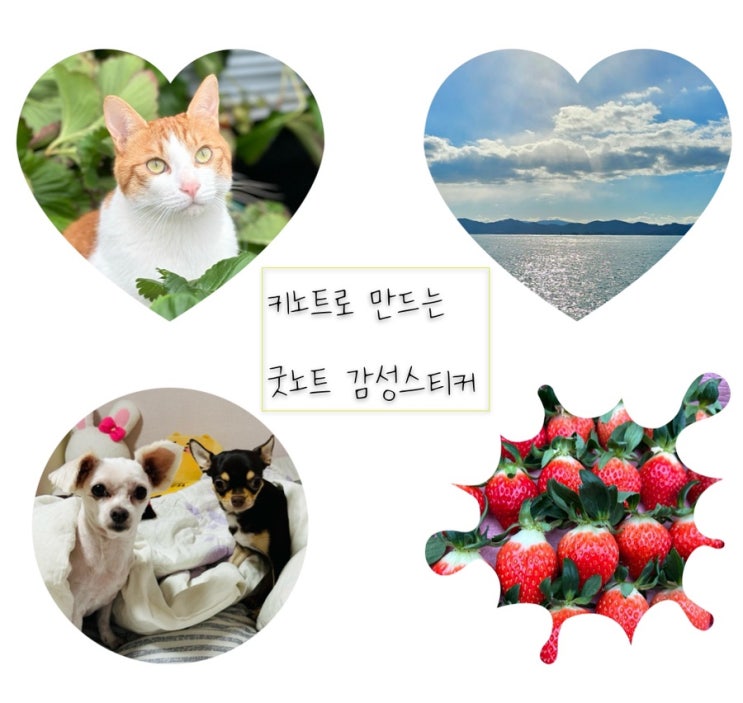 키노트 앱 이용하여 도형 모양으로 사진 깔끔하게 자르기 키노트로 만드는 굿노트 감성 스티커 네이버 블로그