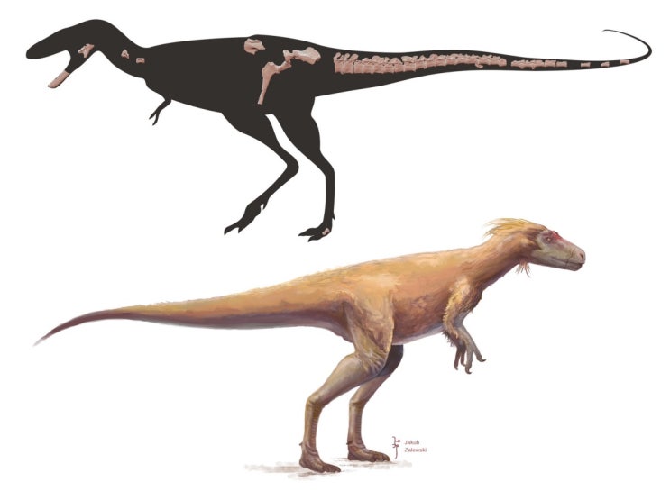 바가라아탄에 대한 재연구 : 네이버 블로그