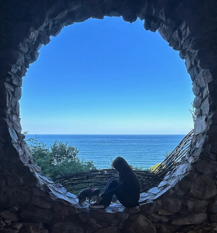 강원도 애견동반 가볼만한 곳 하슬라아트월드 : 네이버 블로그