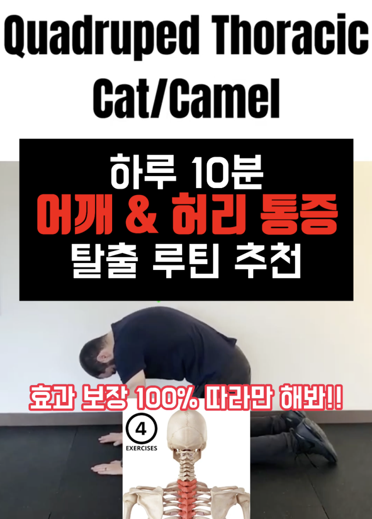 온천장 Pt 어깨 통증을 줄여주는 흉추 가동성 운동 4가지 추천 네이버 블로그
