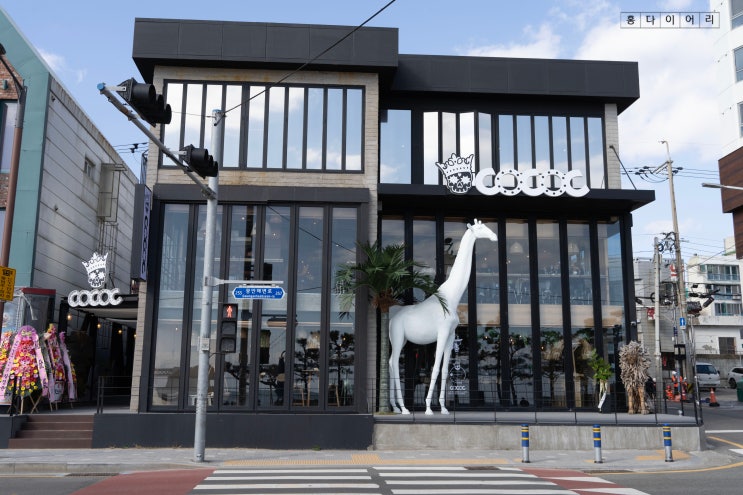 낮에는 광안리브런치카페, 밤에는 광안리술집 COCOC 신상 맛집 : 네이버 블로그