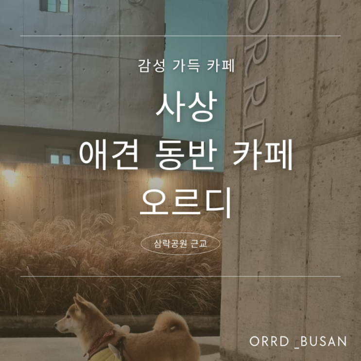 [부산사상] 삼락공원근처 가볼만한곳 애견동반 카페 오르디 : 네이버 블로그