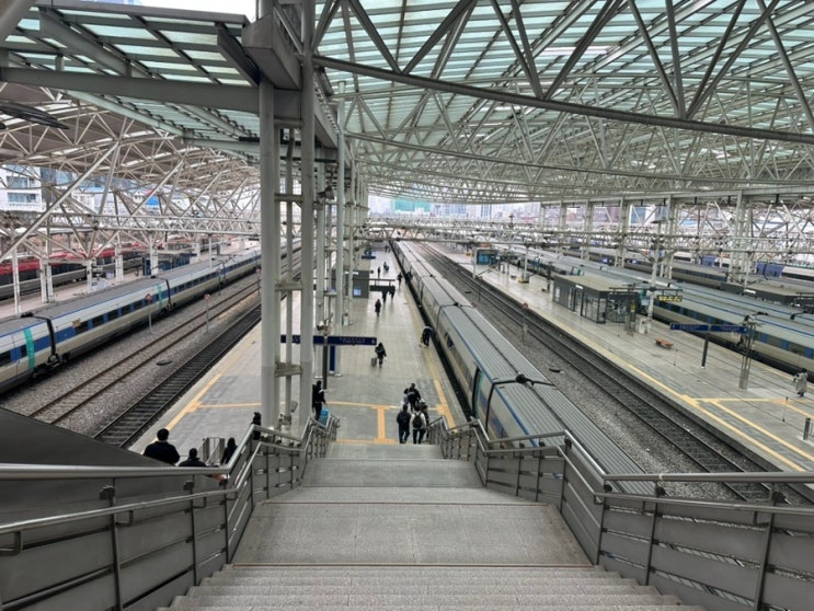 국내기차여행 서울역 KTX타고 부산가기 아이동반좌석(8호차)KTX부산여행 : 네이버 블로그