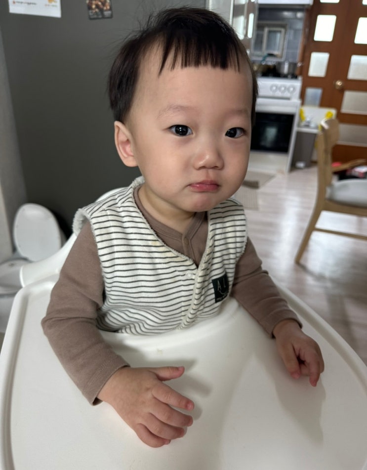 14개월 아기 발달 키 몸무게 유아식양 언어발달 원더윅스 장난감 네이버 블로그