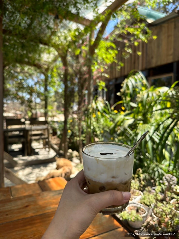 달랏 여행 카페 추천 랑 탕 커피 Lang Thang Cafe : 네이버 블로그