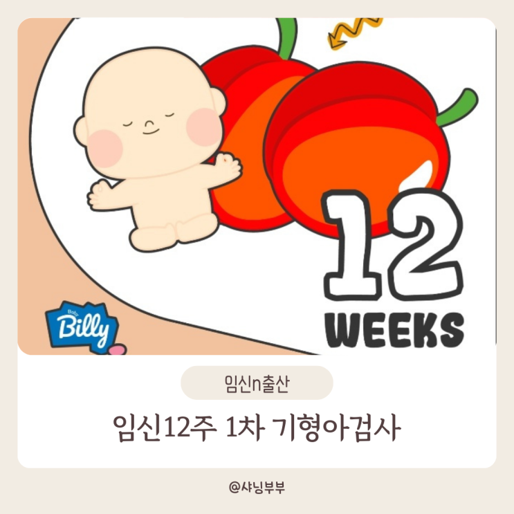 임신3개월증상 12주 초기 산부인과검진 입체초음파 태아목투명대 1차 기형아검사 내과 협진 네이버 블로그