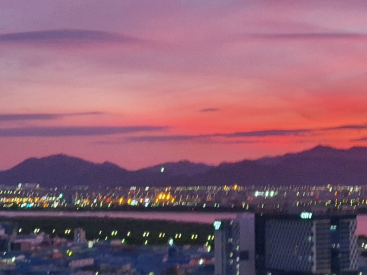 [대학 취업률] 인하대 2023년 학과별 취업률 : 네이버 블로그