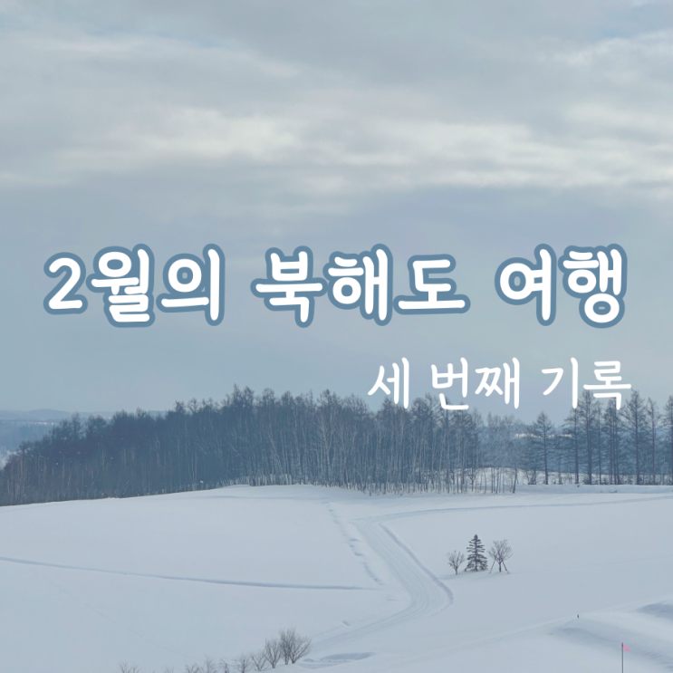 2월의 북해도 홋카이도 삿포로 노란풍선 패키지 모녀 여행 3 닝구르 테라스 스스키노역 인근 호텔 마이스테이스 삿포로