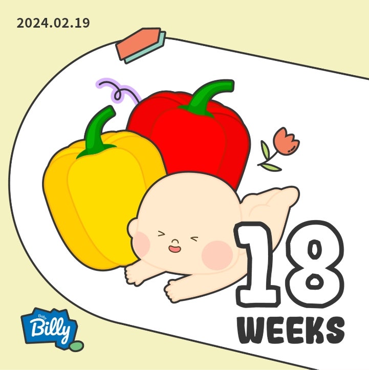 임신18주차 일곱번째 초음파 배 통증 태교여행 전 자궁경부 임산부 비염 중이염 18주차 증상 네이버 블로그