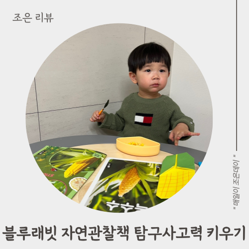 블루래빗 유아자연관찰책과 함께 탐구사고력 키우기 네이버 블로그