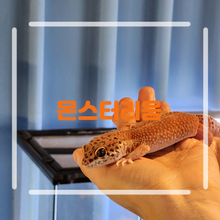 김포 몬스터리움 아이와 가볼만한곳 서울근교 데이트 코스 아쿠아리움 네이버 블로그