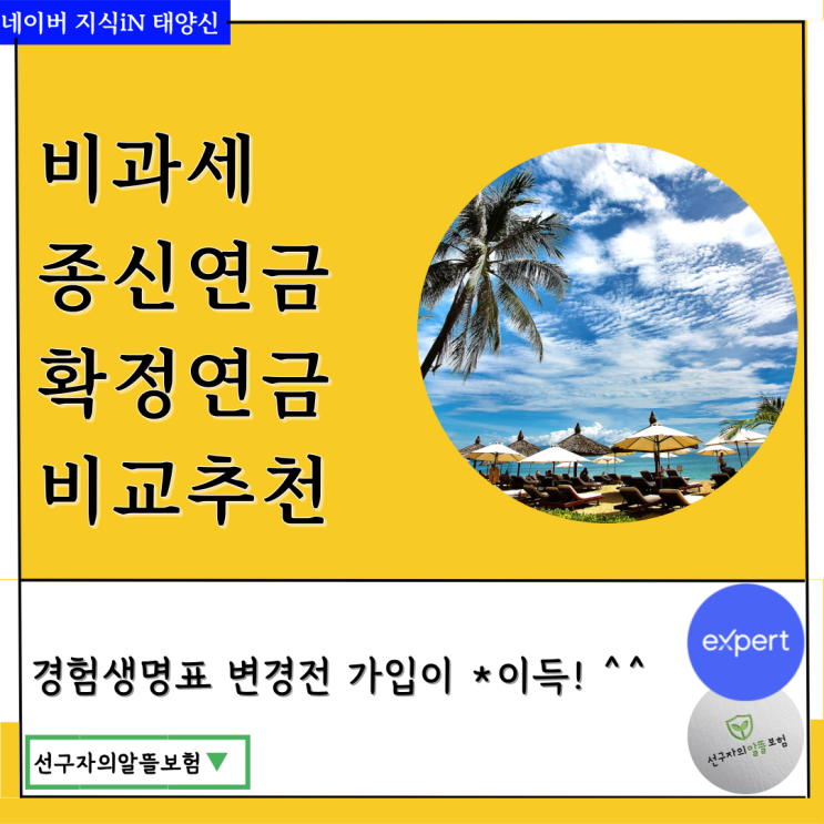 비과세 종신연금 보험 3개 비교 가장 높은 확정연금 추천10차 경험생명표 개정전 가입 유리 네이버 블로그