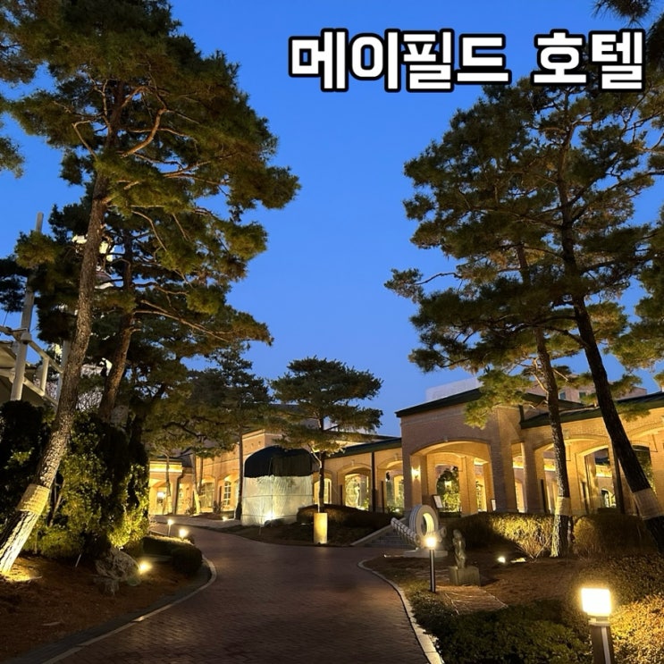 메이필드호텔 아이와 호캉스 슈페리어 트윈 수영장 조식 부대시설 솔직후기 네이버 블로그
