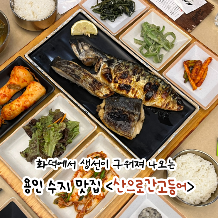 용인 수지 맛집 화덕구이 산으로간고등어 주말 방문 후기 네이버 블로그