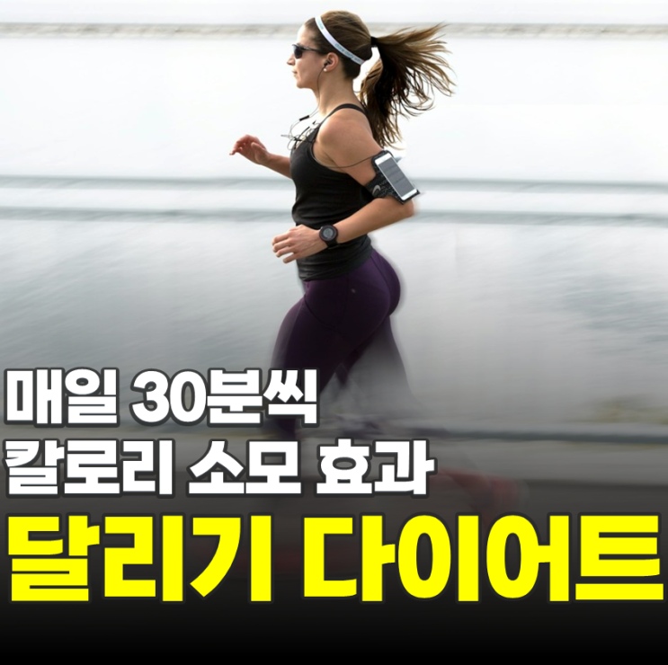 달리기 다이어트 매일 30분 칼로리 소모 효과 네이버 블로그