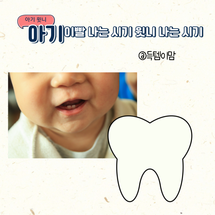 아기 이빨나는 시기 순서 윗니 나는 시기 관리법 네이버 블로그