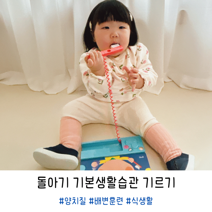 돌아기 전집 양치질 배변훈련 기본생활습관 블루래빗으로 길러요 네이버 블로그