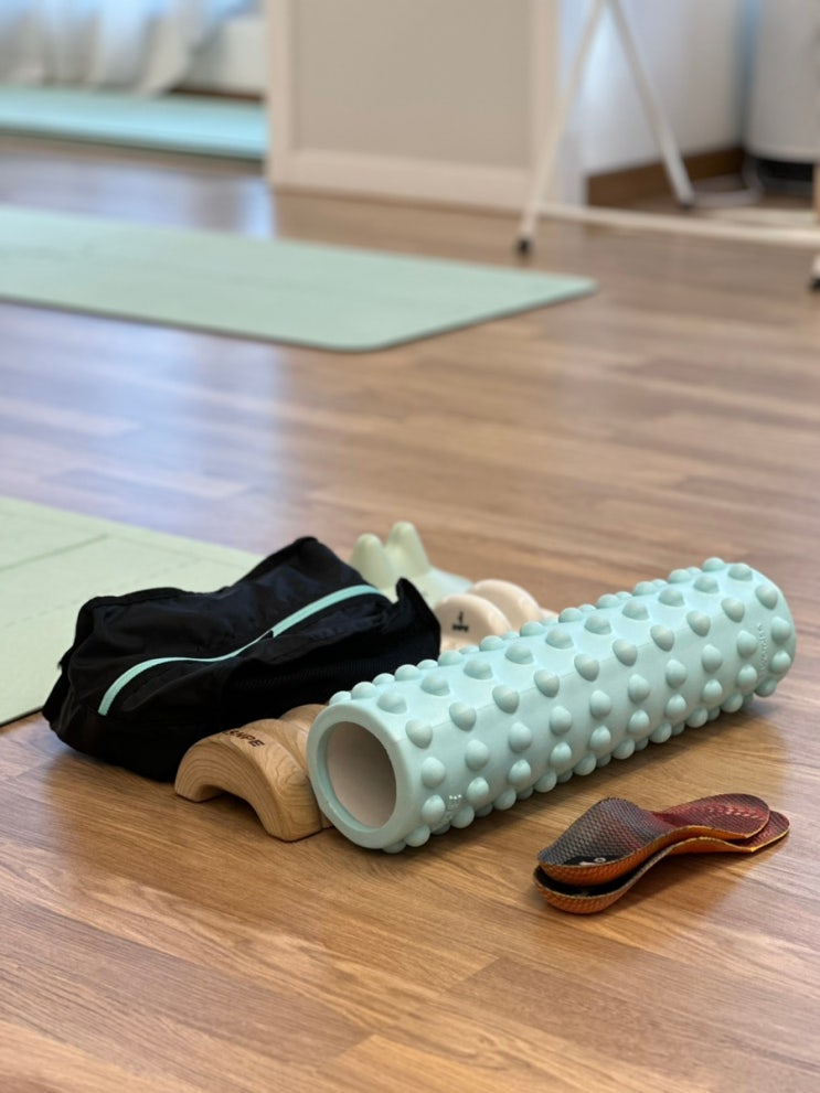 SNPE 바른자세 척추운동, SNPE STEP 수업 후기 : 네이버 블로그