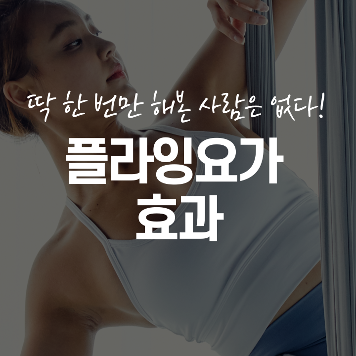 정자동헬스장 뉴핏휘트니스에서 알아보는 플라잉요가 네이버 블로그