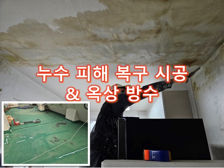 안양 구축 빌라 옥상 누수로 인한 최상층 누수 피해 복구 공사곰팡이 제거 후 단열 결로 곰팡이 방지 에어로젤 페인트 시공 및