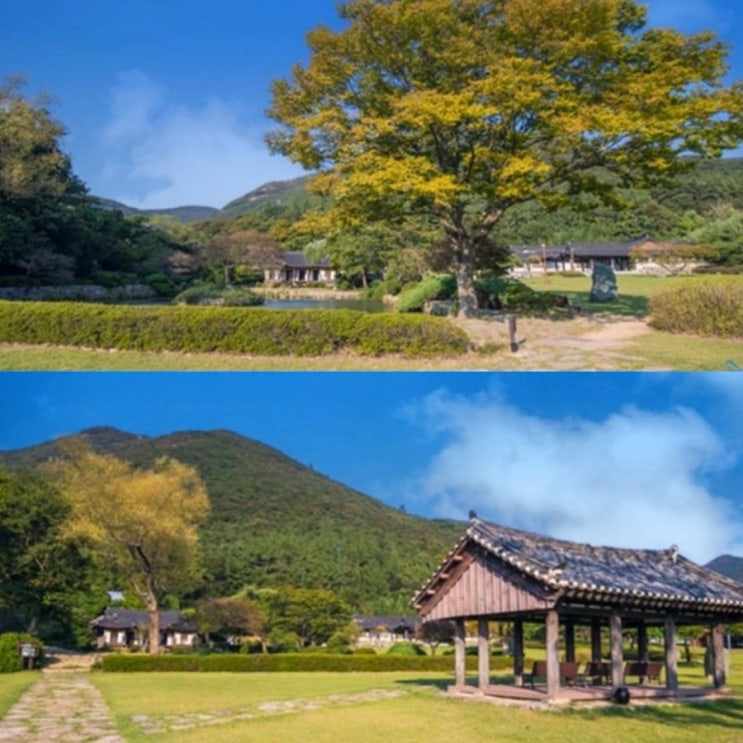 전라남도 여행 진도 가볼만한곳 쏠비치 리조트 호텔 진도 관광지 운림산방 신비의바닷길 볼거리 네이버 블로그