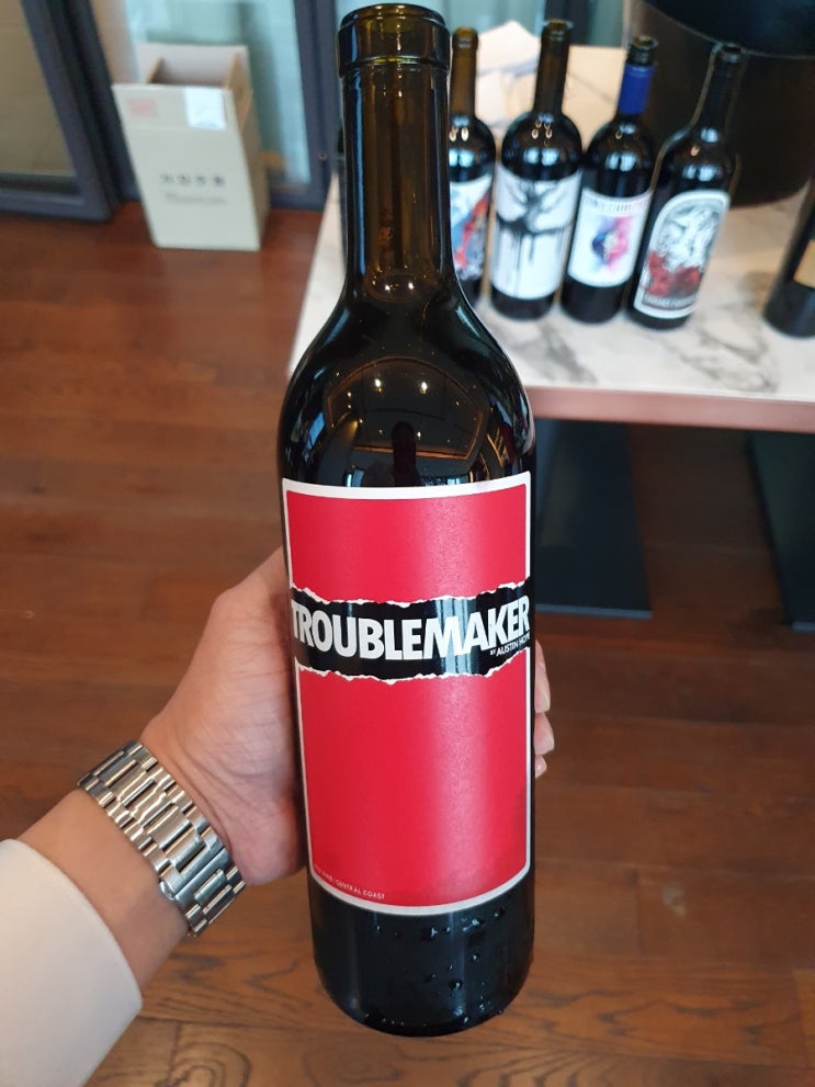 트러블메이커 (Troublemaker NV) : 네이버 블로그