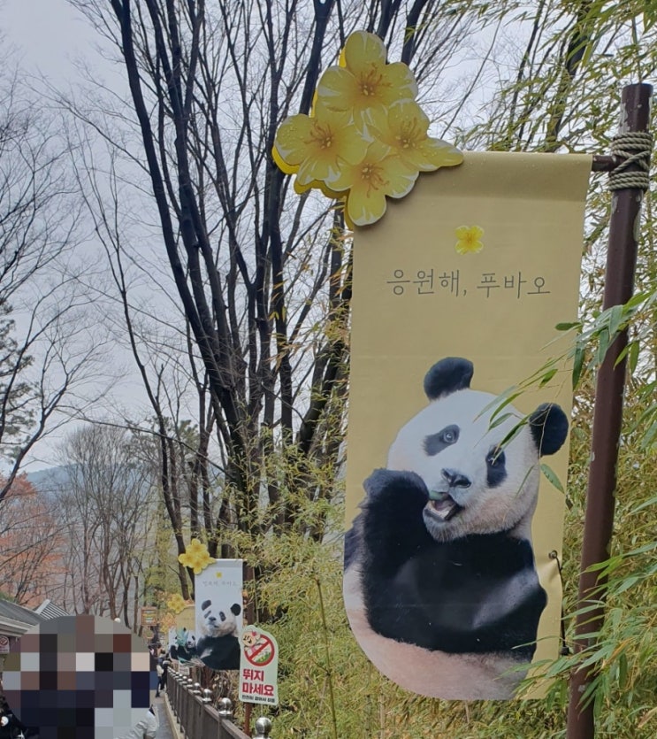에버랜드 방문기 푸바오를 만나기 위해 걸리는 시간 200분 판다월드 로스트밸리 아마존익스프레스 네이버 블로그