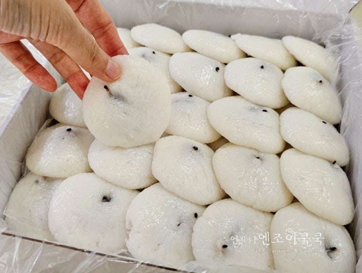 잔기지떡 보관 기정떡 보관법 냉동f 일산 한잎애 잔기지떡 맛집 네이버 블로그