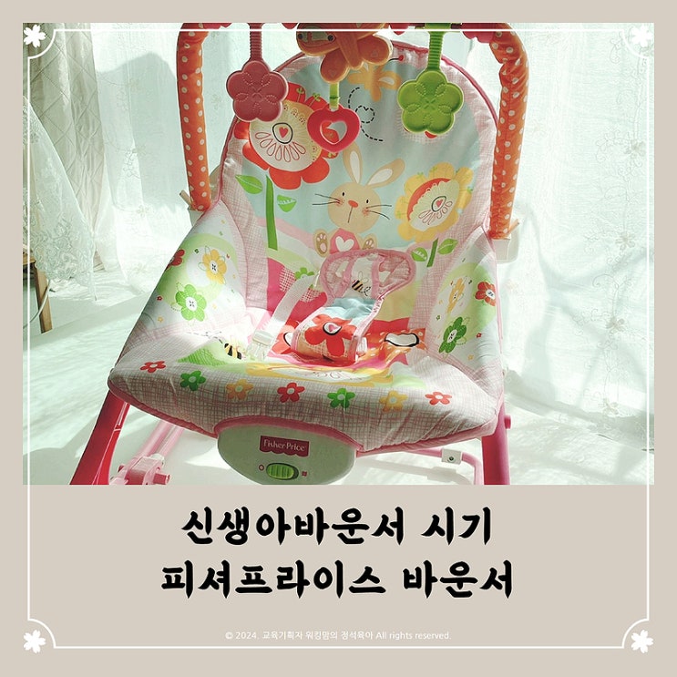 신생아바운서 시기 피셔프라이스 아기바운서 사용시기 네이버 블로그