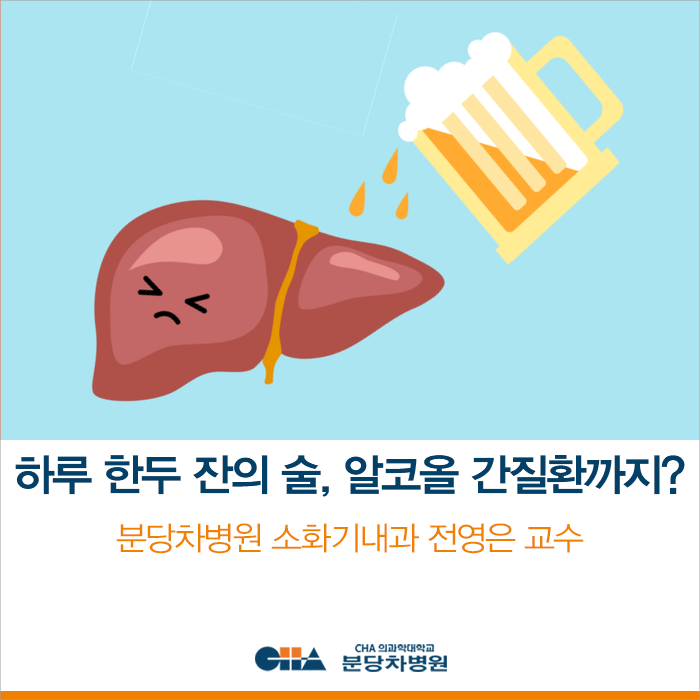 하루에 한두 잔 마시는 술도 위험한가요 알코올 간질환 알아보기 분당차병원 소화기내과 전영은 교수 네이버 블로그