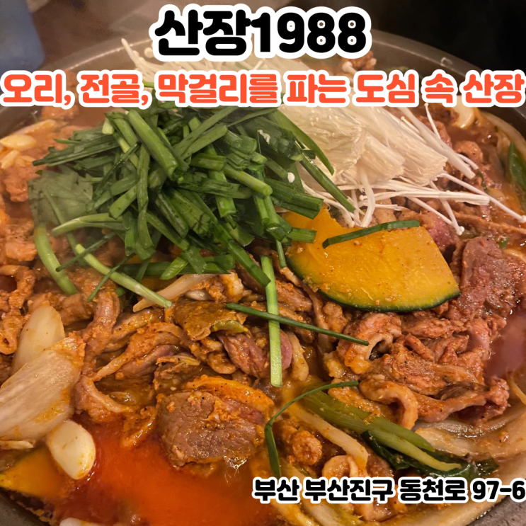 부산infj의 맛집여행 부산 서면 산장1988 서면 핫플 술집 서면 오리불고기를 맛보자 네이버 블로그