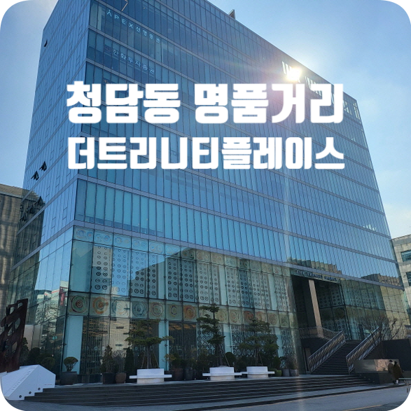 청담동 명품거리 압구정 로데오 역세권 더트리니티플레이스 대형사무실 임대 네이버 블로그