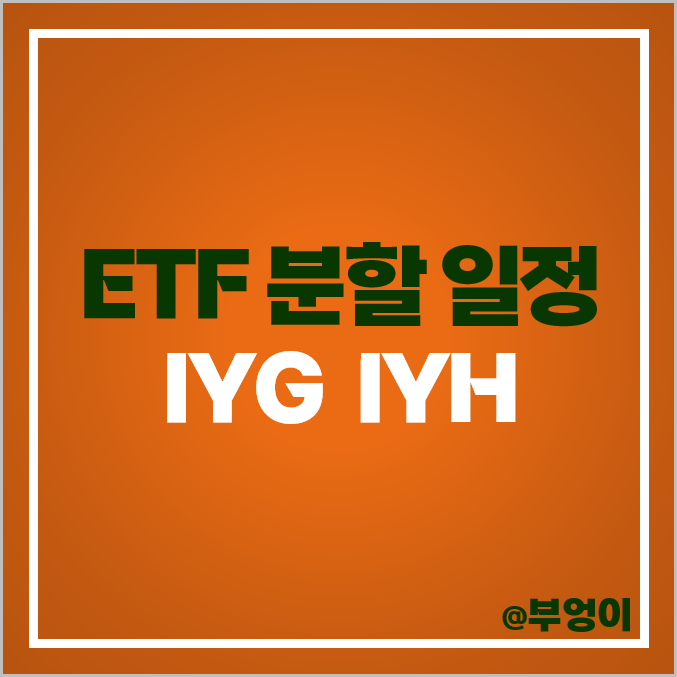 블랙록 미국 ETF 액면분할 IYG IYH 금융주 헬스케어 관련주 : 네이버 블로그
