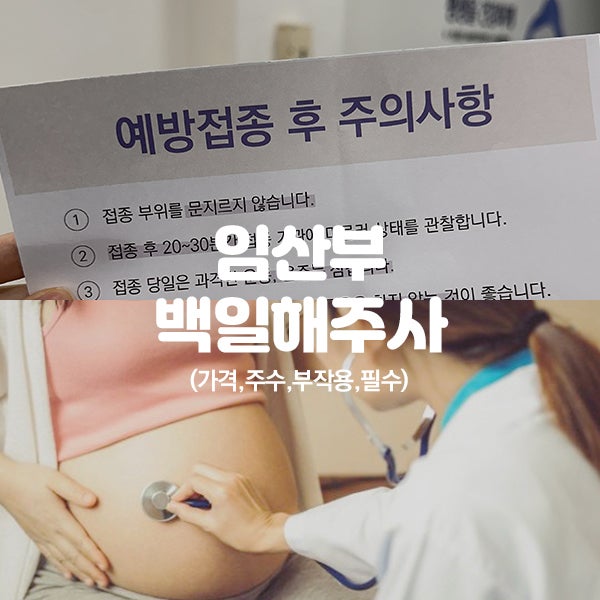 임산부 백일해주사 가격 시기 남편 필수 부작용 가족접종 네이버 블로그