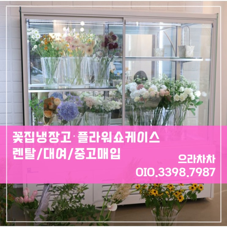 꽃집냉장고 플라워쇼케이스렌탈 꽃냉장 진열쇼케이스 할인 중고매입 네이버 블로그
