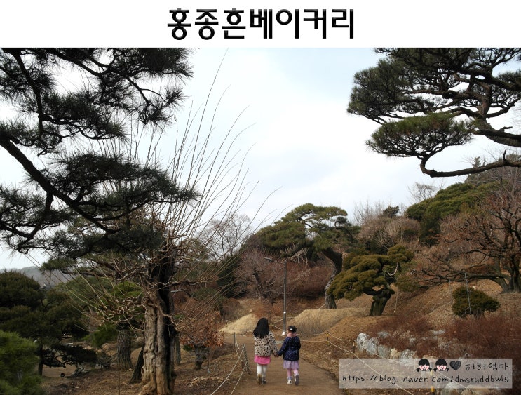 D3310 D2075 경기 군포 가볼만한곳 빵순이들 모여라~ 뷰가 좋은 홍종흔 베이커리 대형 한옥카페