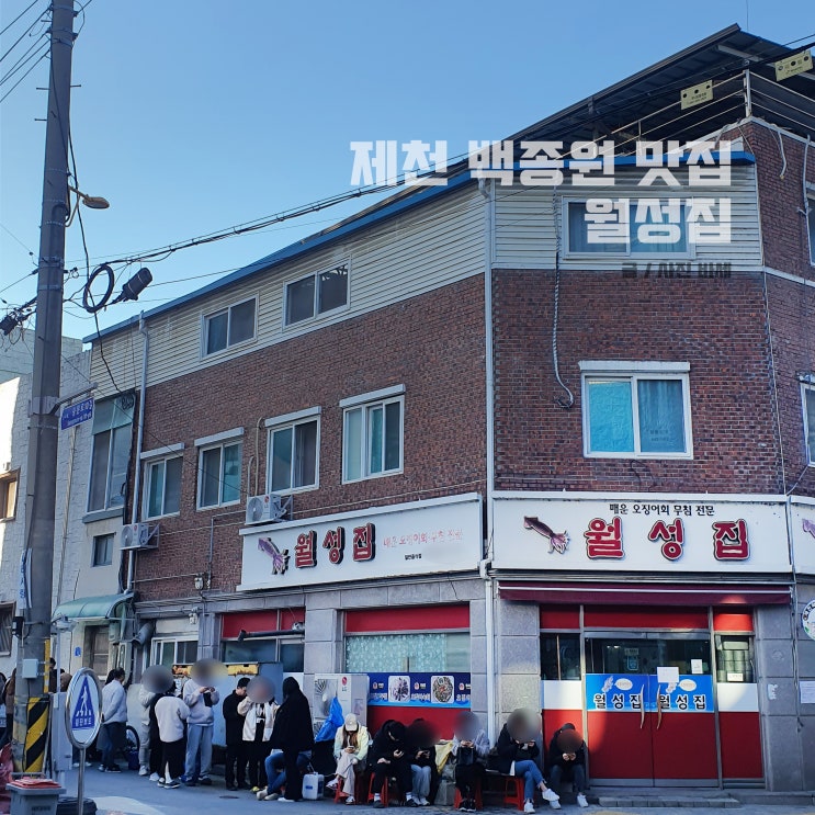 제천 월성집 포장 님아 그 시장을 가오 백종원 오징어 전문점 네이버 블로그