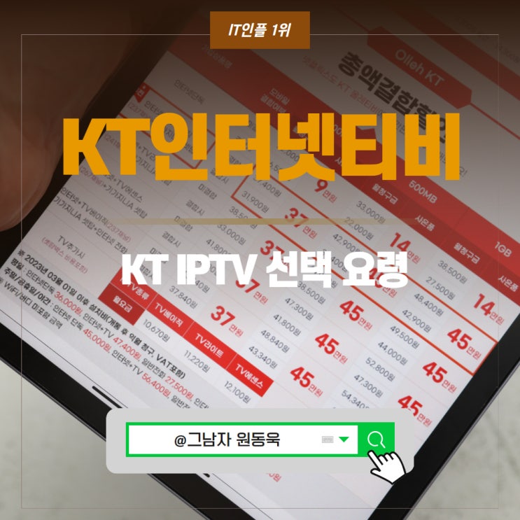 KT 인터넷 티비 요금제, KT IPTV 선택 요령 : 네이버 블로그