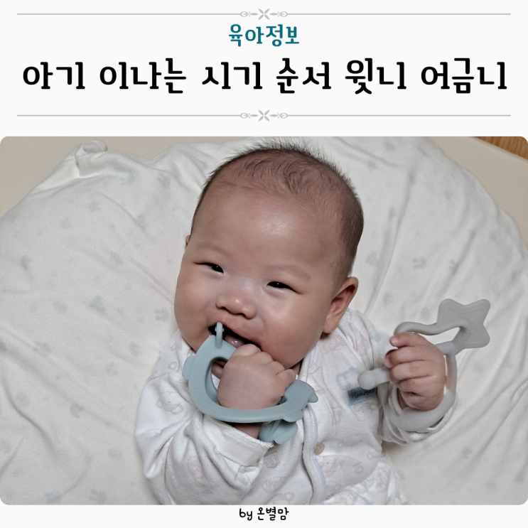 신생아 아기 이나는 시기 순서 첫니 치아 윗니 어금니 나는 시기 이빨 네이버 블로그